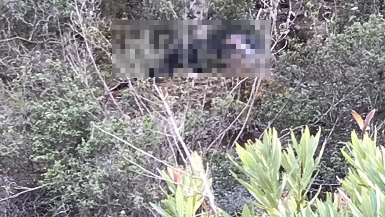 Bolulu genci defineciler katletmiş